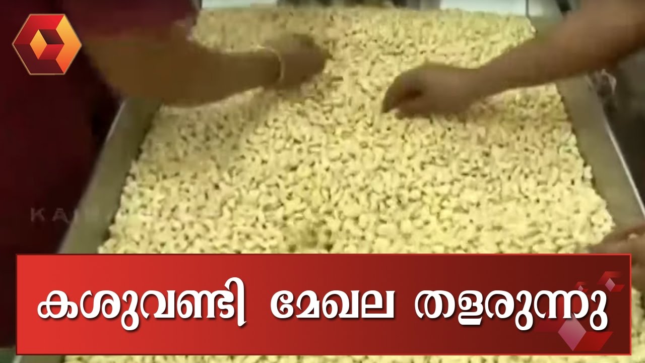 Trading In Cashew Sector Reduced By 40 Percent In The State YouTube trading-in-cashew-sector-reduced-by-40-percent-in-the-state-youtube