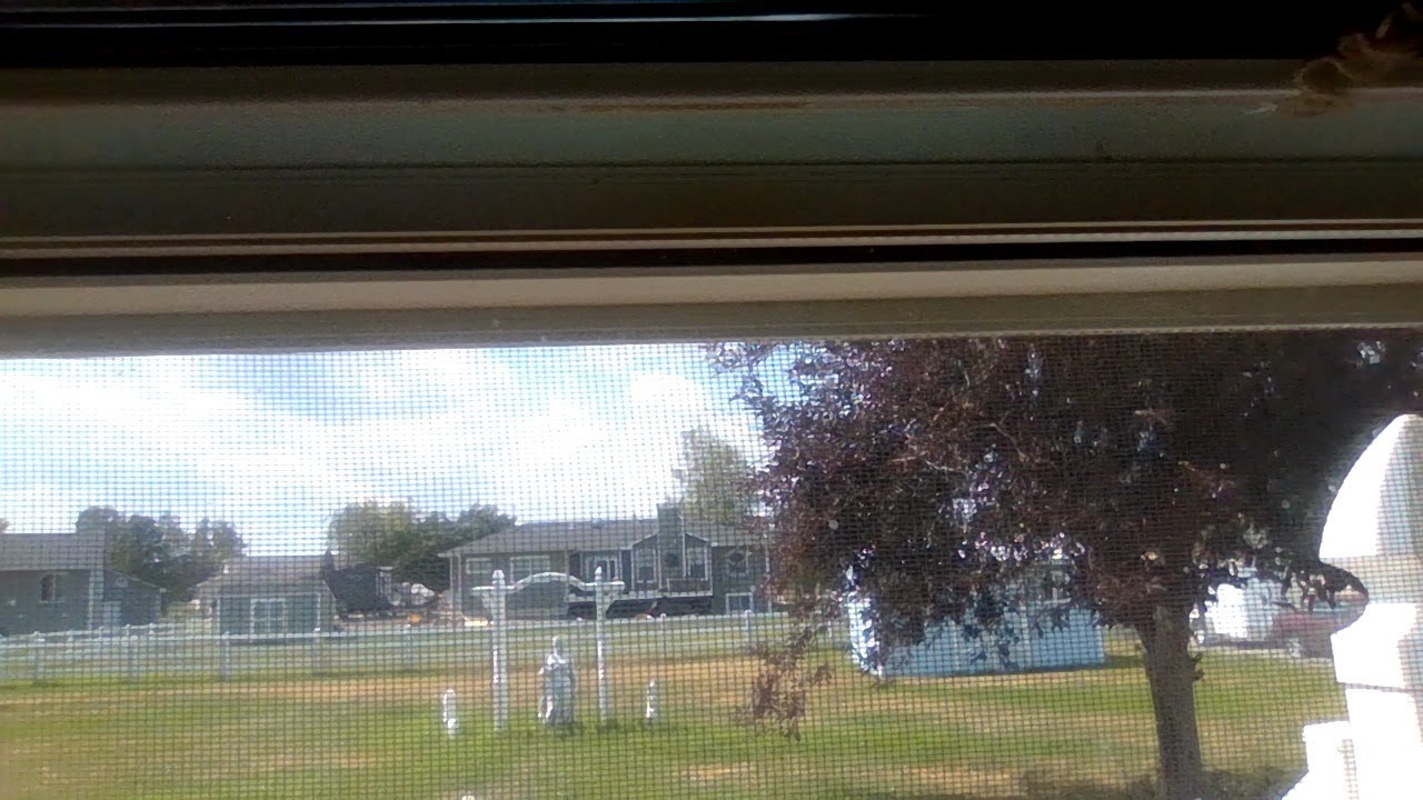 FACE REVEAL AND VOICE REVEAL STREAM - YouTube