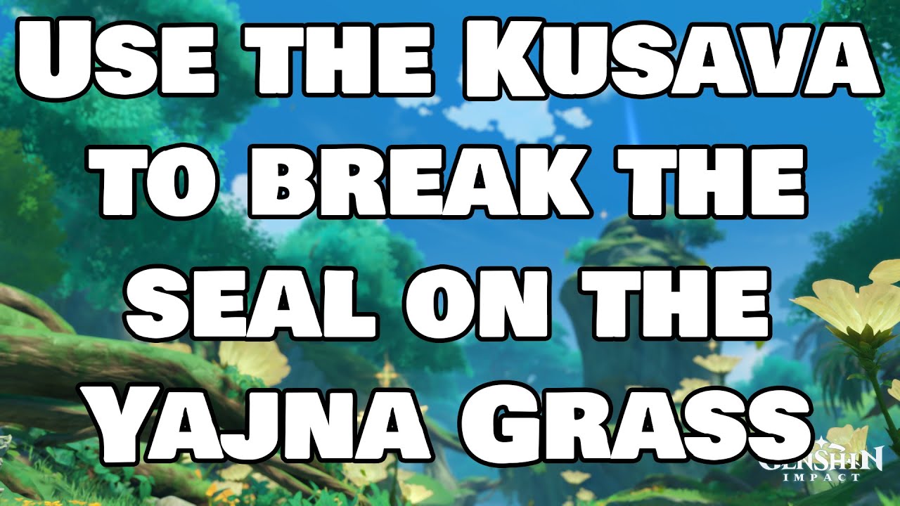 Genshin Impact - Use the Kusava to break the seal on the Yajna Grass ...