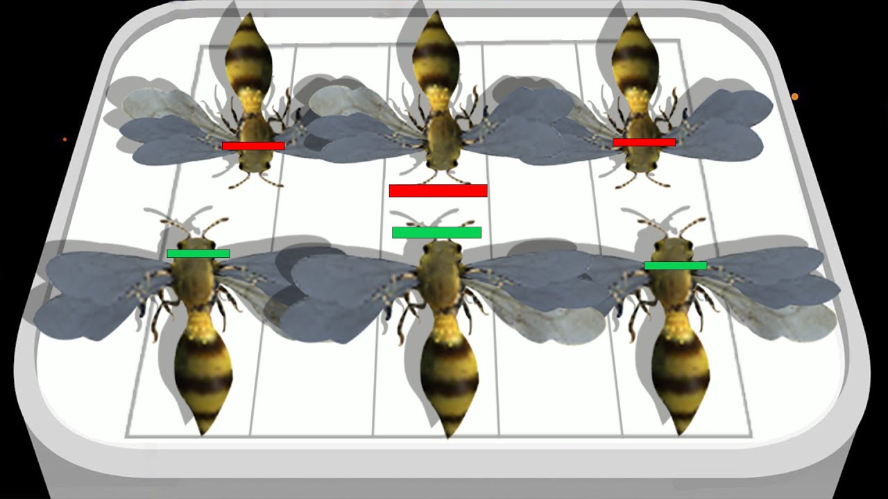 999999 Merge Master Games - Unlimited Insects strategy game - Gameplay ...