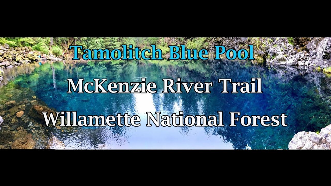 Blue Pool, McKenzie Trail Hike, Oregon - CH Action Adventures - YouTube