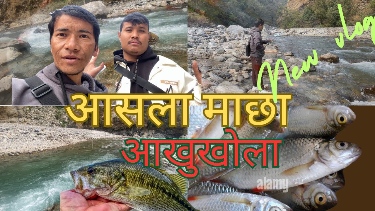 Fishing in Aakhu Khola | Akhu Khola River | Fishing in Nepal | - YouTube