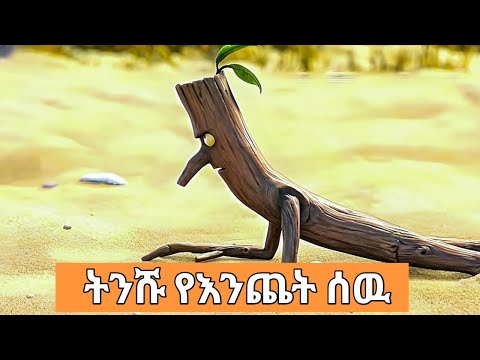 ትንሹ የእንጨት ሰዉ | animation ፊልም | ተረት ተረት | Amharic fairy tales | teret teret