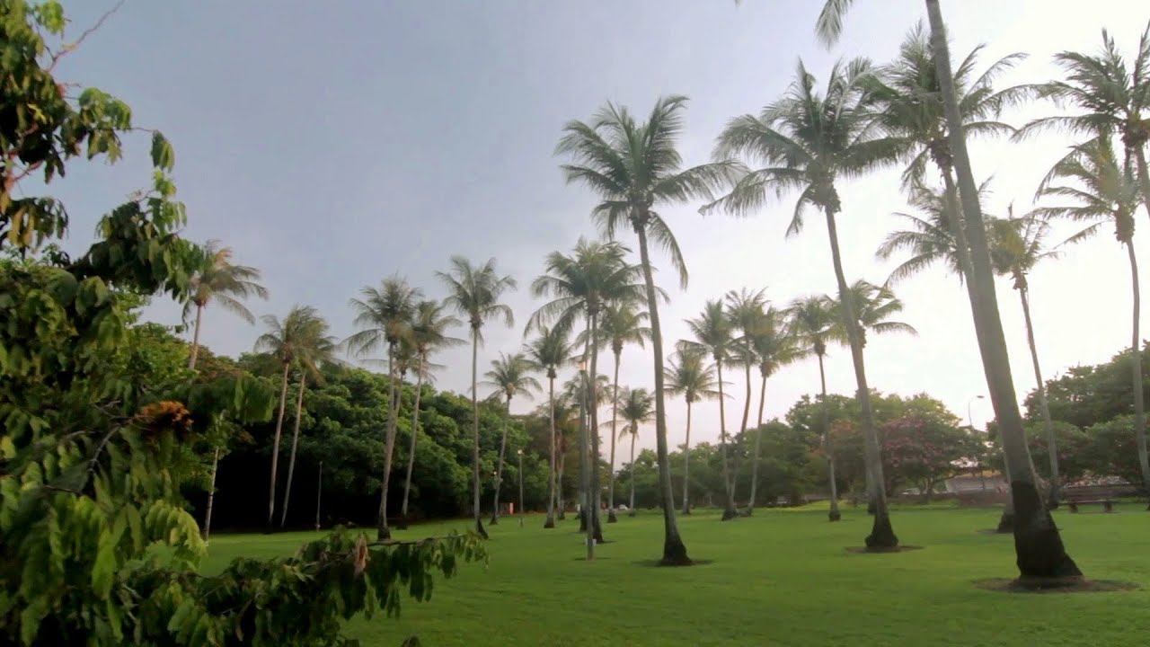 Darwin - The Tropical North Australia - Glidecam HD 2000 - YouTube