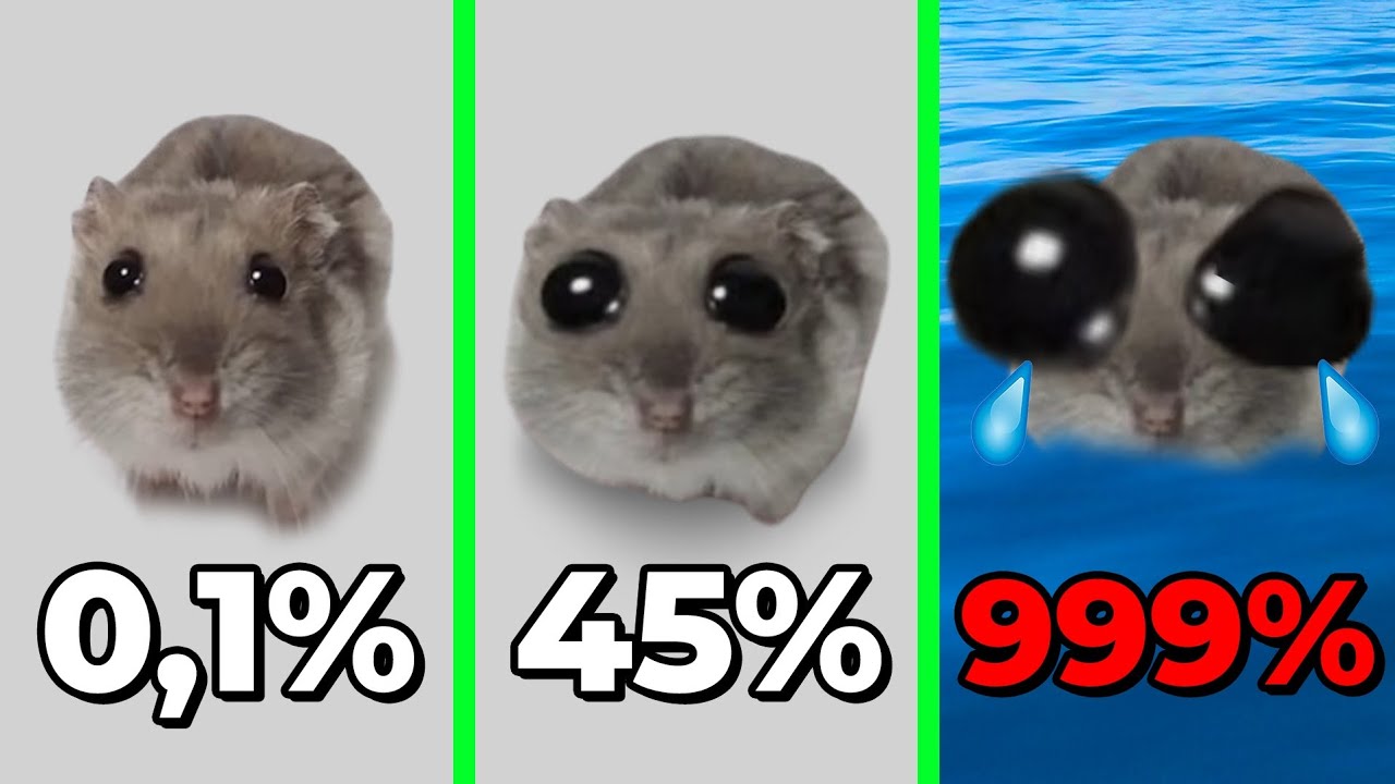 Sad Hamster Becomes More Sad - YouTube