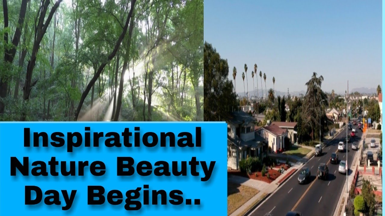Inspirational nature beauty day Begins/ natural beautiful day start//🏞🌳 ...