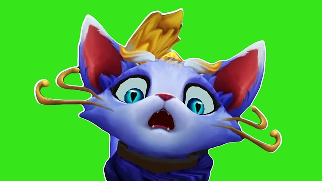 Surprised Yuumi 2 Green Screen ( 놀라는유미 ) l League of Legend Croma key ...