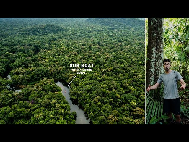 Amazon Jungle Camping