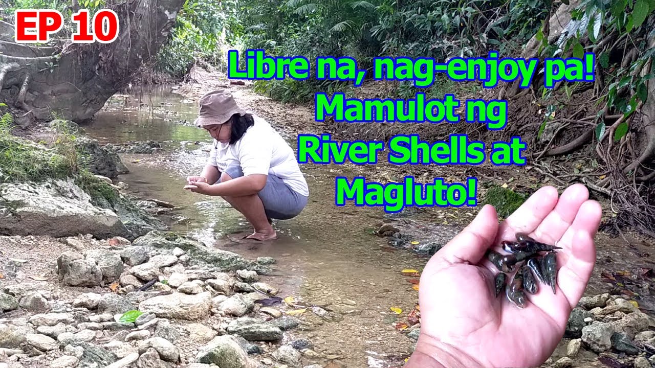Picking River Shells or Awis in the Forest of San Jose, Occ. Mindoro ...