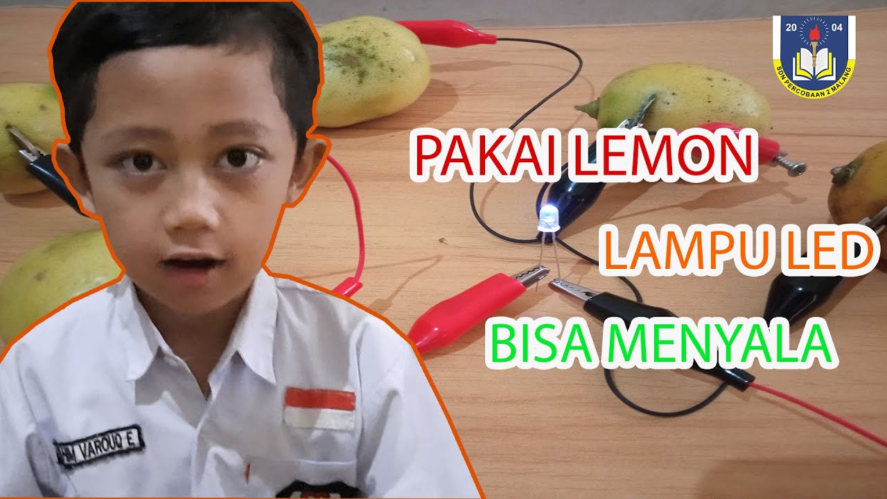 Cara Membuat Listrik dari Lemon | Percobaan Kelas 4 SD | Energi ...