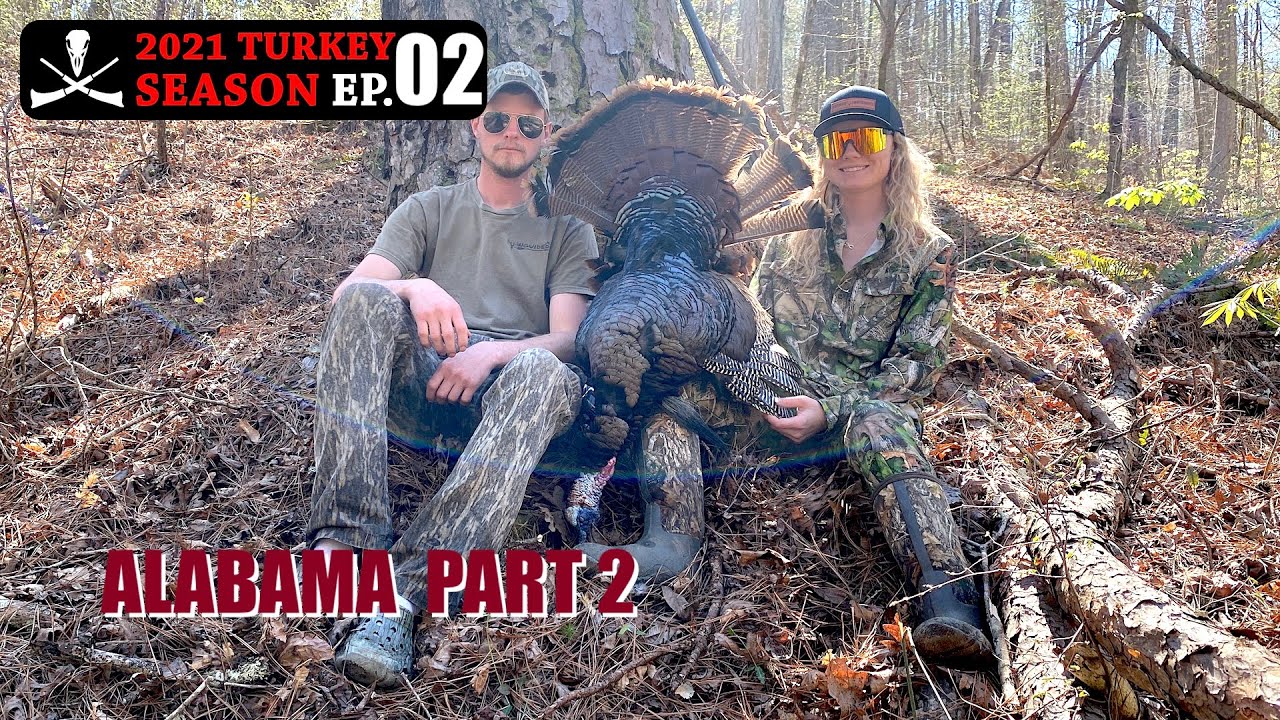 Gobbler Down in the Pines! Alabama Turkey Hunting - 2021 Turkey Season ...