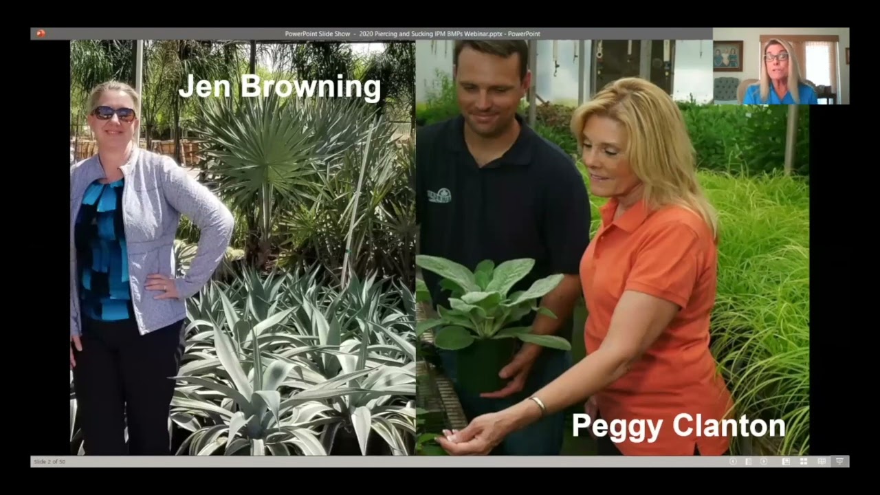 Best IPM Practices for Piercing and Sucking Insects - YouTube