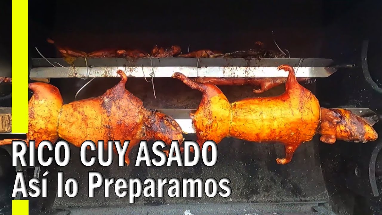 CUY ASADO - CÓMO PREPARAR CUY - YouTube
