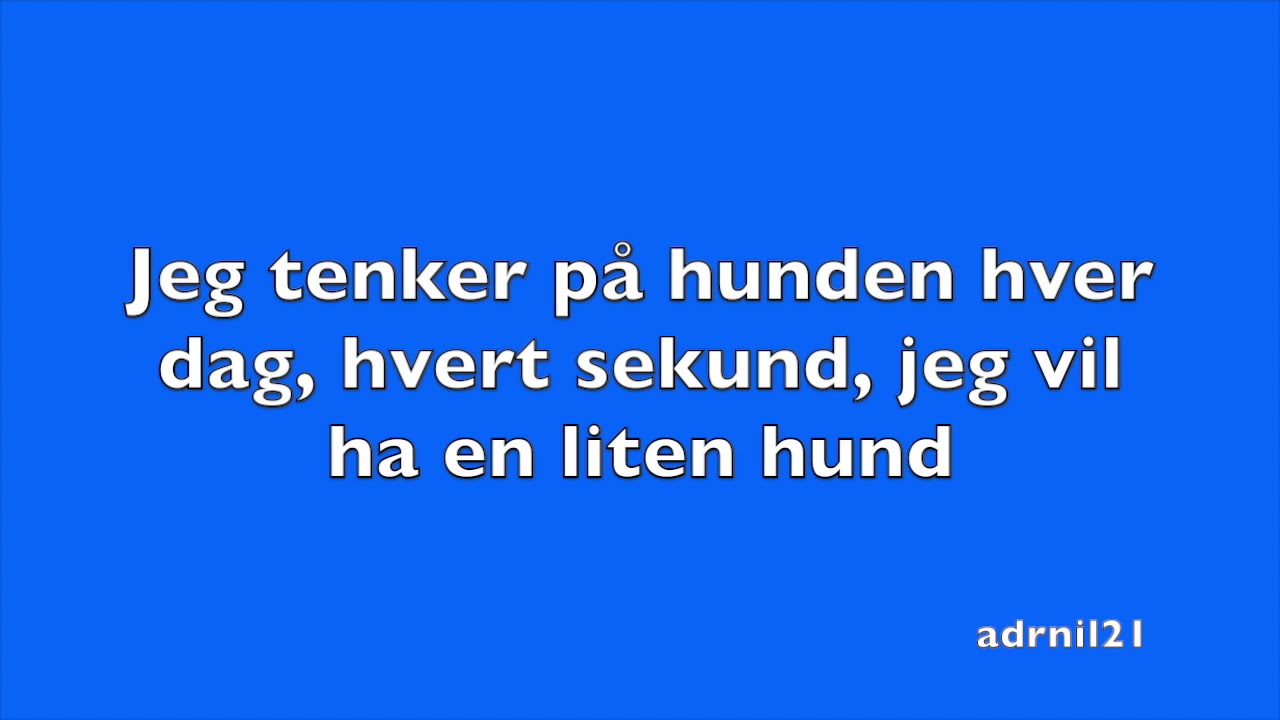 Jeg Vil Ha En Liten Hund - Lille Eris (Med Tekst og Melodi) - YouTube