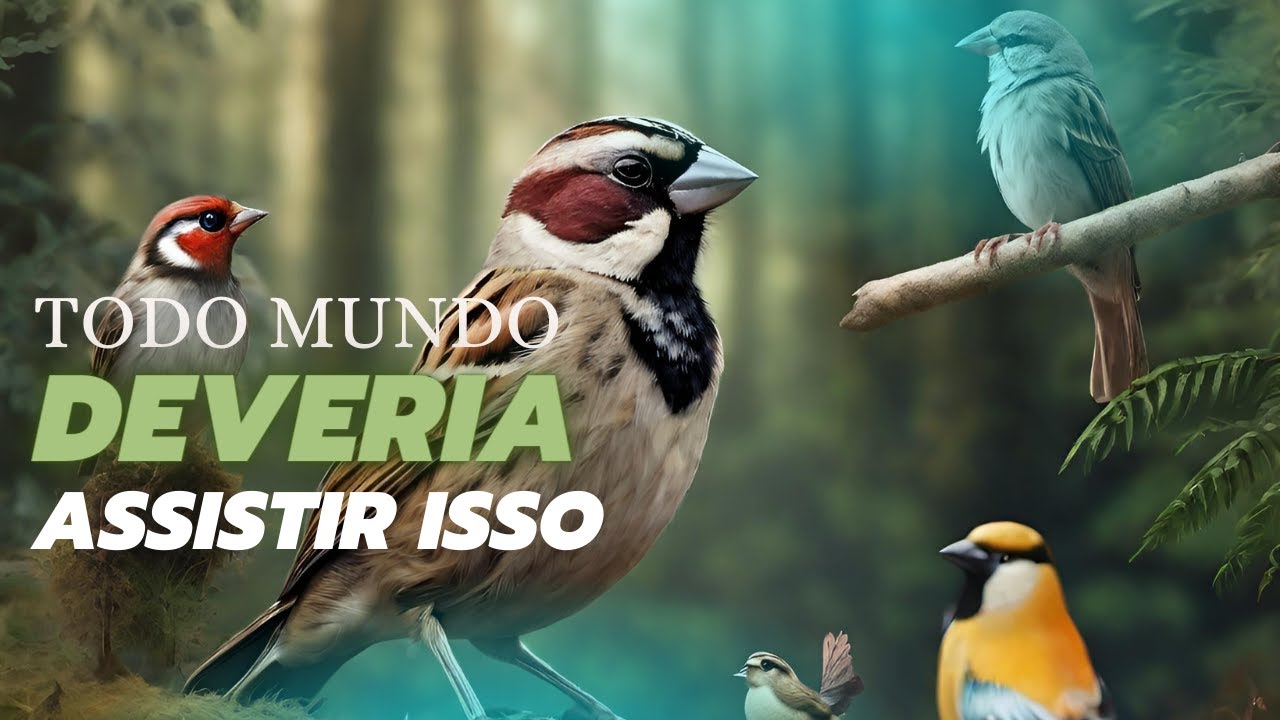 A Incrível História do Pardal que Conquistou a Presença de Deus ...