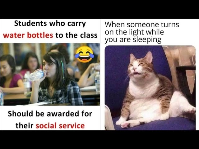 Social Class Memes Student In Social Studies Class Not Seeing One