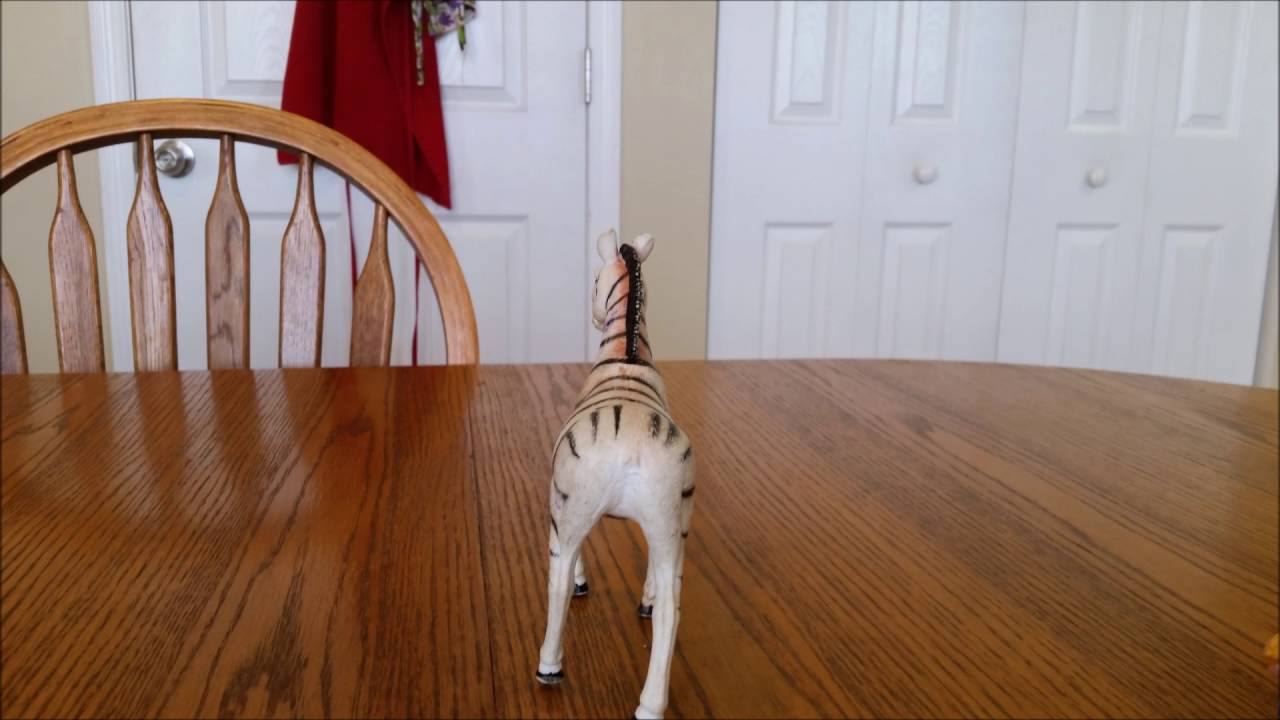 Zebra Poop (Stop Motion) - YouTube