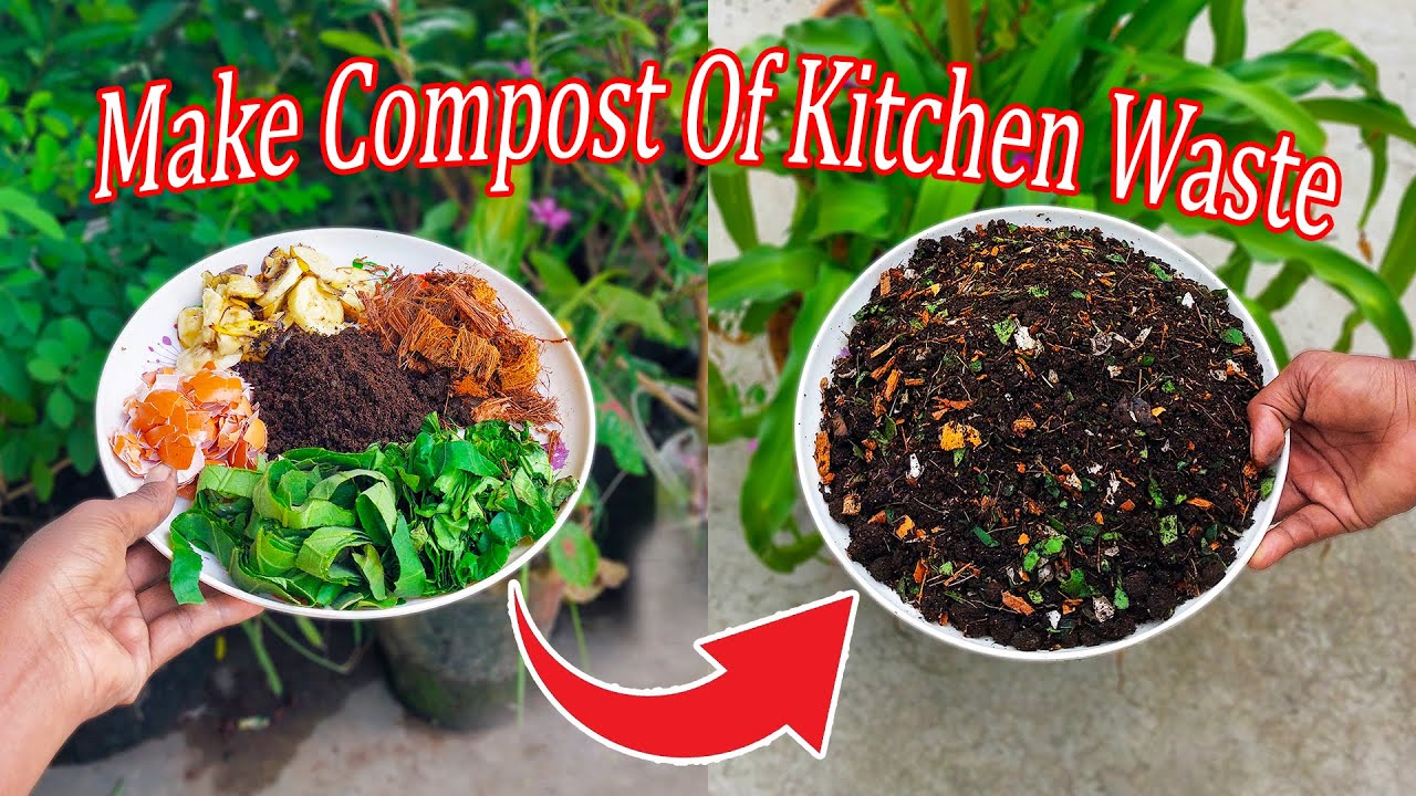 Very easy to make dry compost at home using home wasted kitchen item ...