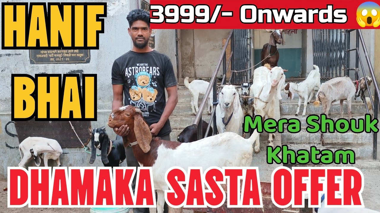 3999/-Onwards😱 Dhamaka Sasta Offer Shouk Khatam App Lo Aur Shouk Karo|| Hanif Bhai Govandi ...