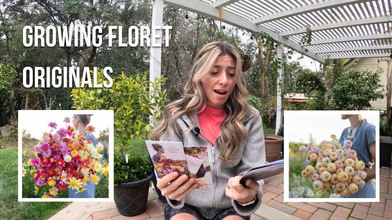 Floret Originals Dahlia and Zinnia Seeds, New Seed Tray - YouTube