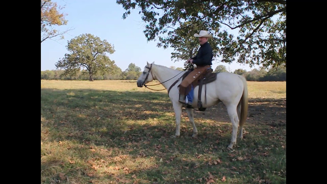 How to correctly use the one rein stop and build your confidence. - YouTube