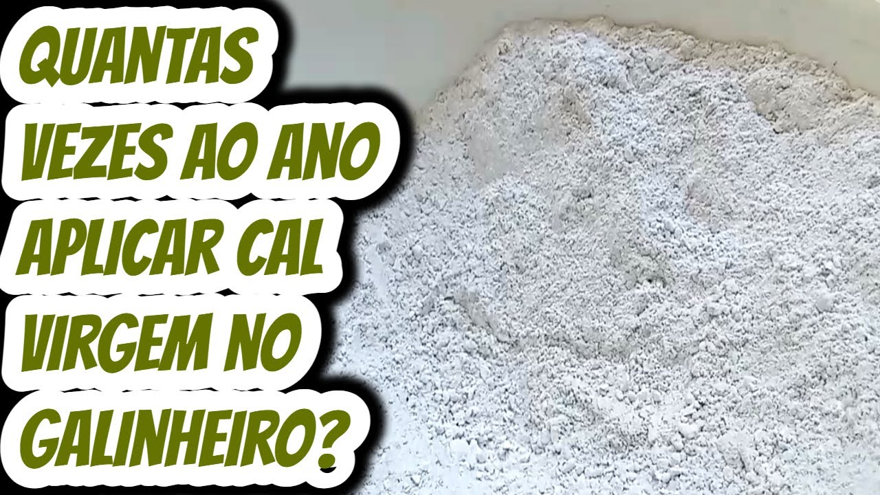 Quantas vezes ao ano fazer aplicação de cal virgem no galinheiro ...