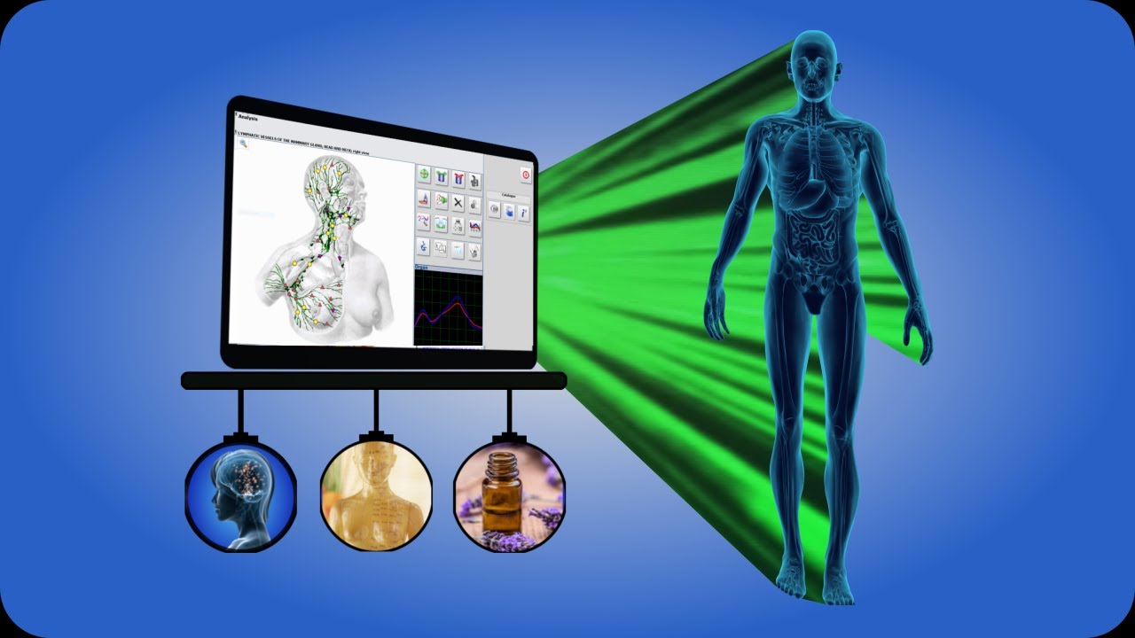 06: A Back Bio Heath Scan: Pathways to health with bioresonance - YouTube