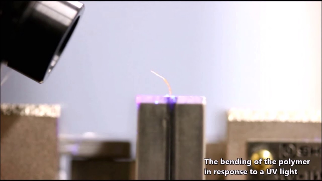 Light-induced mechanical response in crosslinked liquid-crystalline ...