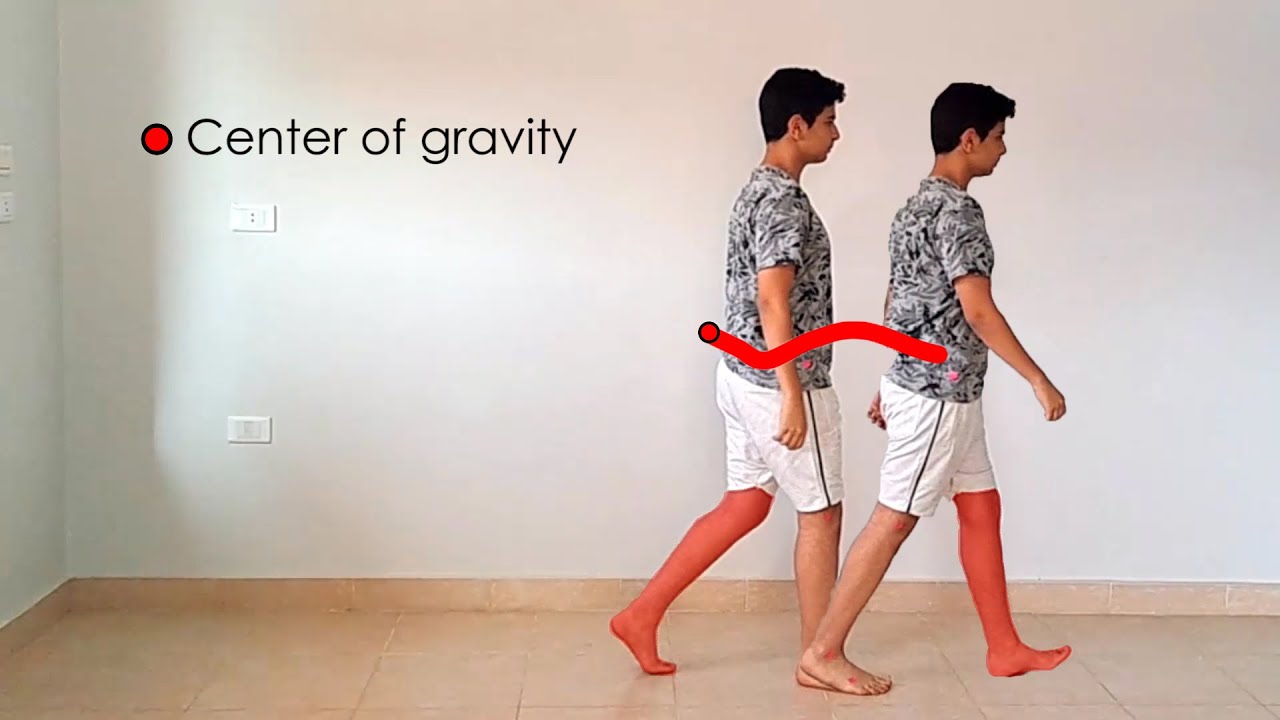 Normal Gait Cycle in detail - Gait Cycle Terminology - YouTube