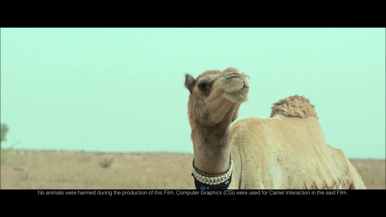 Bisleri Camel TVC_Heist 30sec - YouTube
