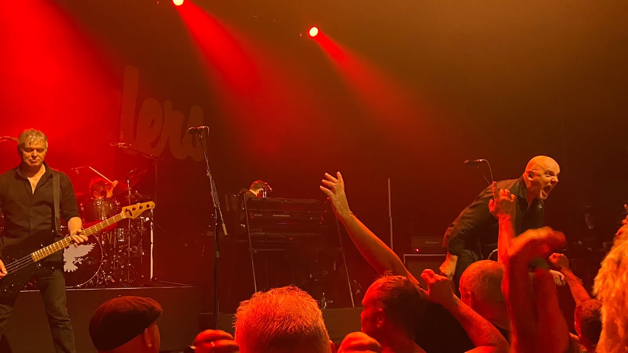 THE STRANGLERS - GO BUDDY GO - YouTube