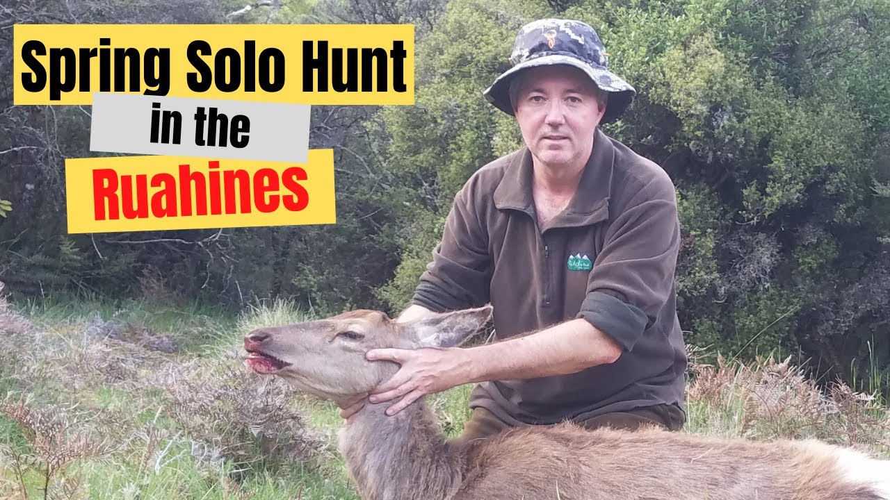 Solo afternoon hunt in the Ruahine Forest Park - YouTube