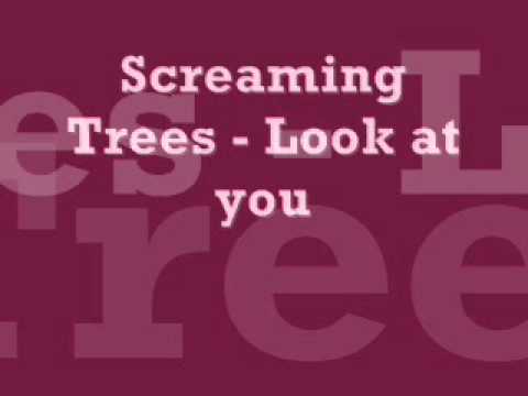 Screaming Trees – Dust – 2 x CD (Remastered), 2017 [r10488146] | Discogs