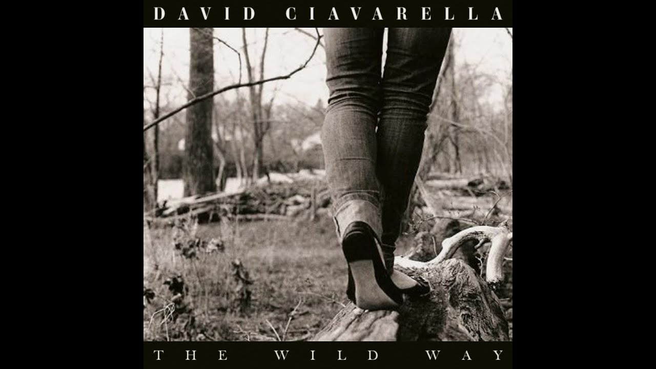 David Ciavarella - The Wild Way feat. J Patrick Rigney - YouTube