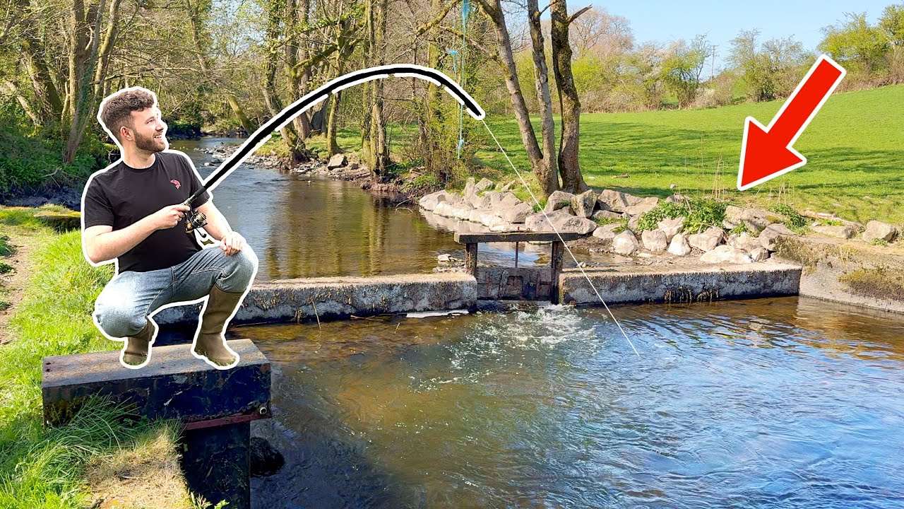 A Farmer let me Fish his TINY stream... (Here's what happened!) 😯 - YouTube