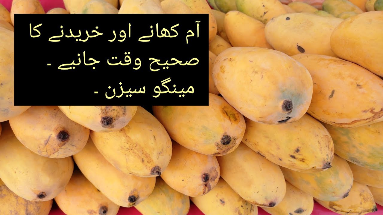 Mango Varieties of Pakistan |Mango Season | Anwar Ratol | - YouTube