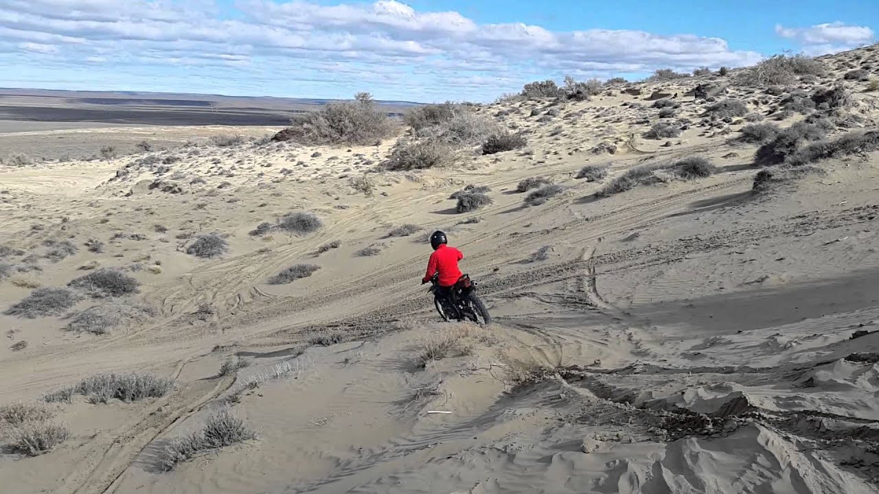 Pericotes areneros - YouTube