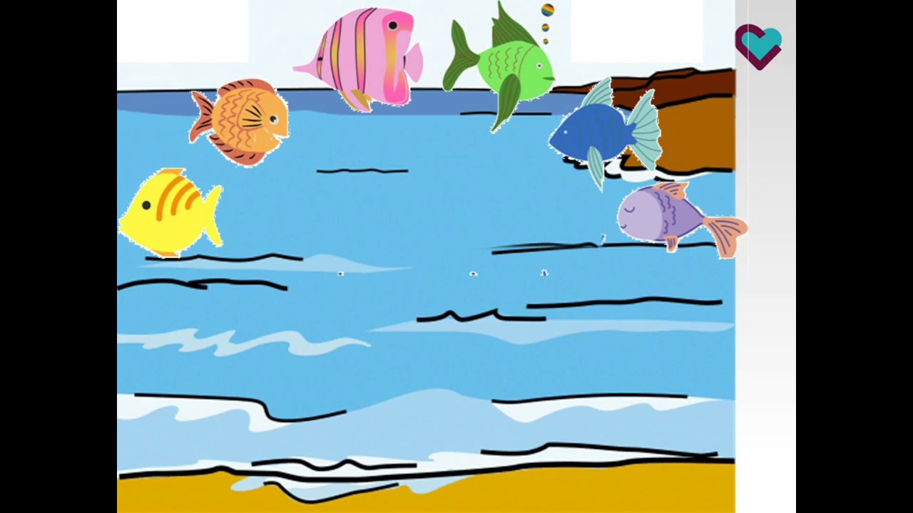 Un mar de color - YouTube