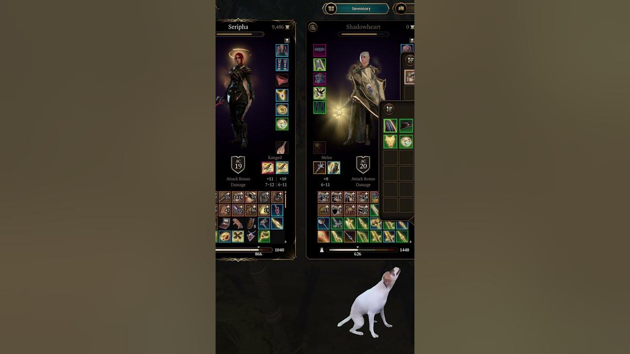 best-inventory-management-mod-bg3-baldursgate3-mods-shorts-youtube