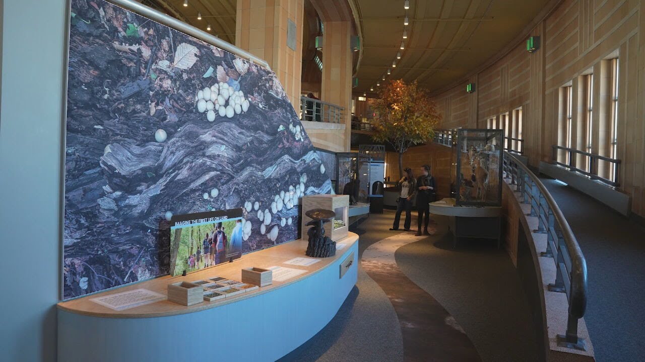New exhibit brings the great outdoors inside the Cincinnati Museum ...