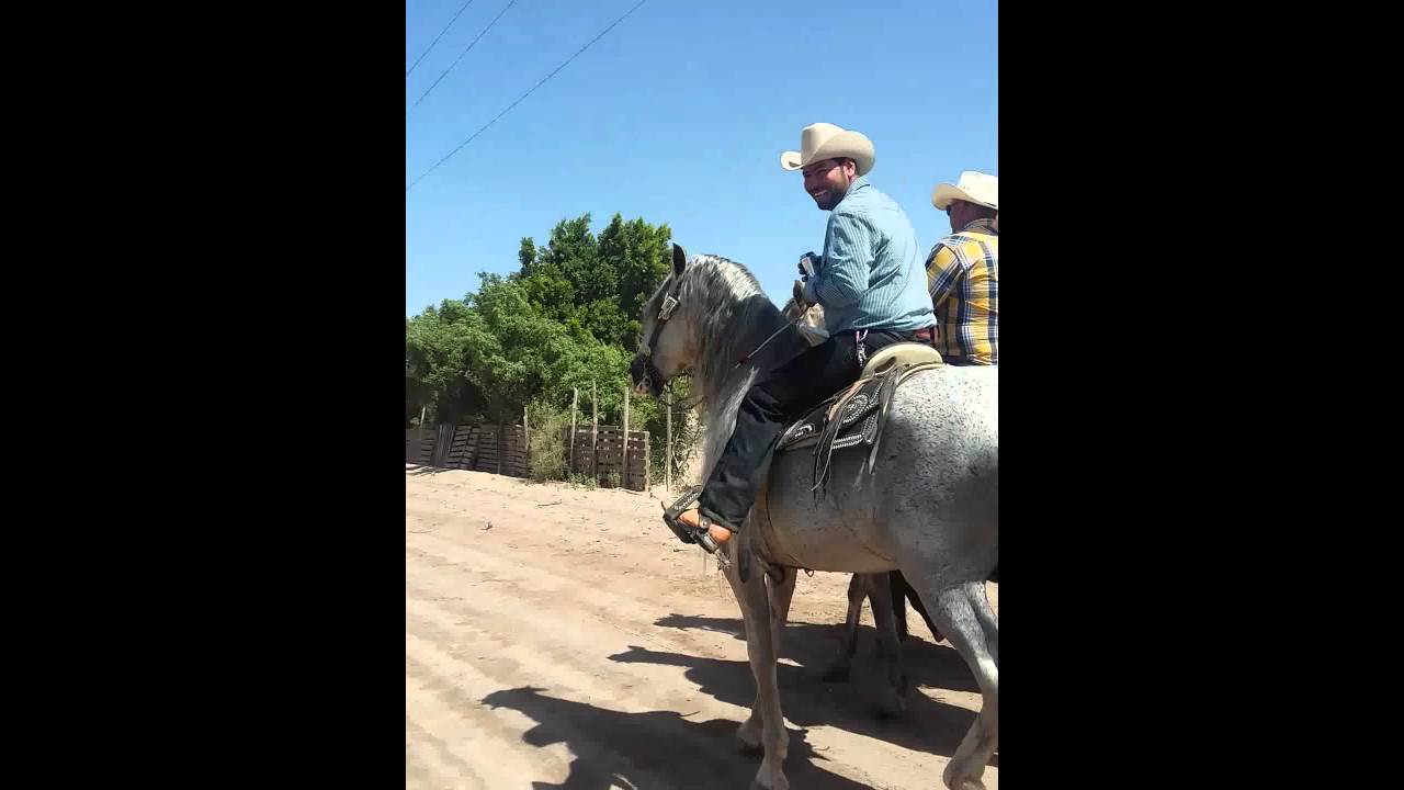 Cabalgata de caborca de la mina fresnillo - YouTube