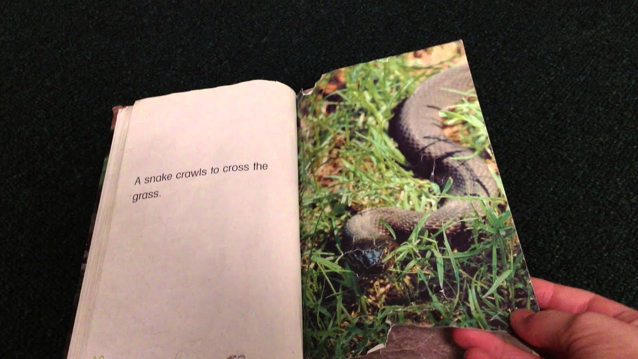 They Crawl - YouTube