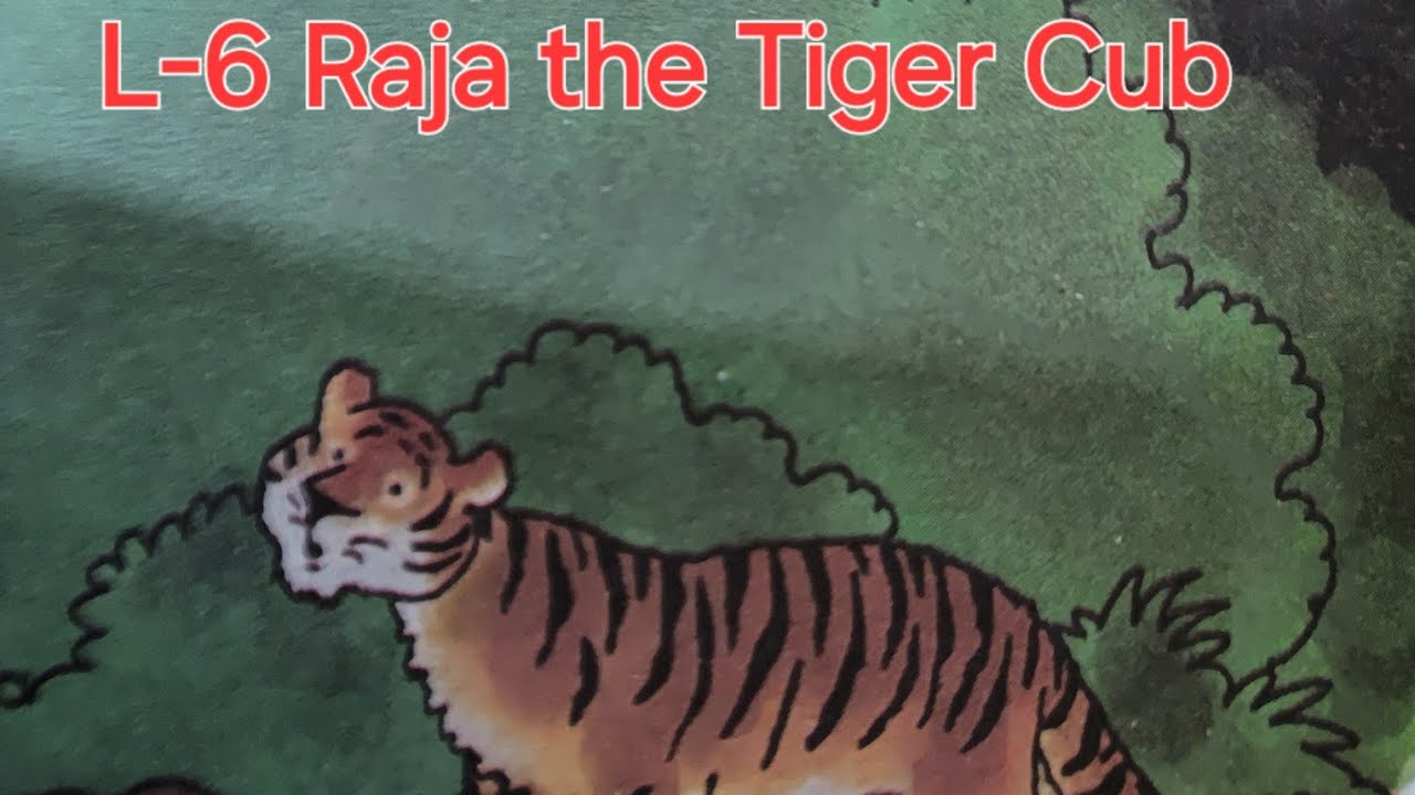 L-6 Raja the tiger cub - YouTube