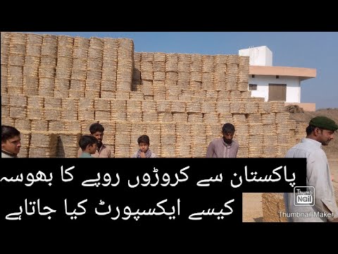 Bhoosa pressing machine.Export quality bhosa toori available.Musa vlog ...