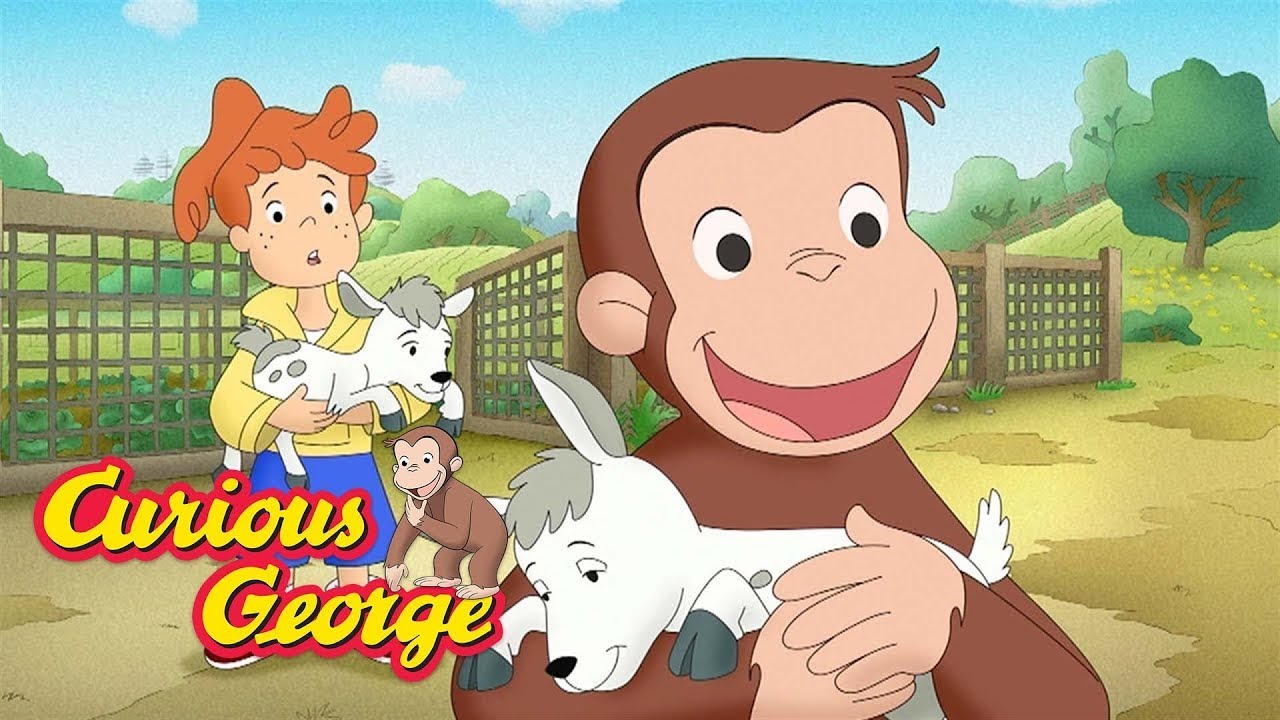 George meets the cutest baby goats 🐵 Curious George 🐵 Kids Cartoon ...