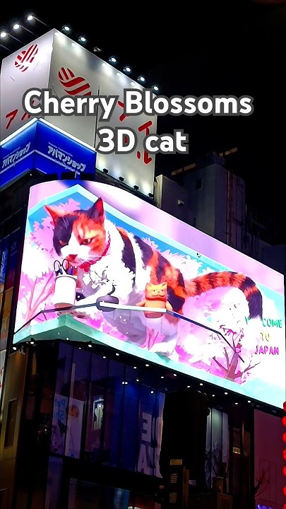 3D Cat Tokyo Japan billboard. #tokyo #japan #3Dcat #traveljapan #cool #japanese - YouTube