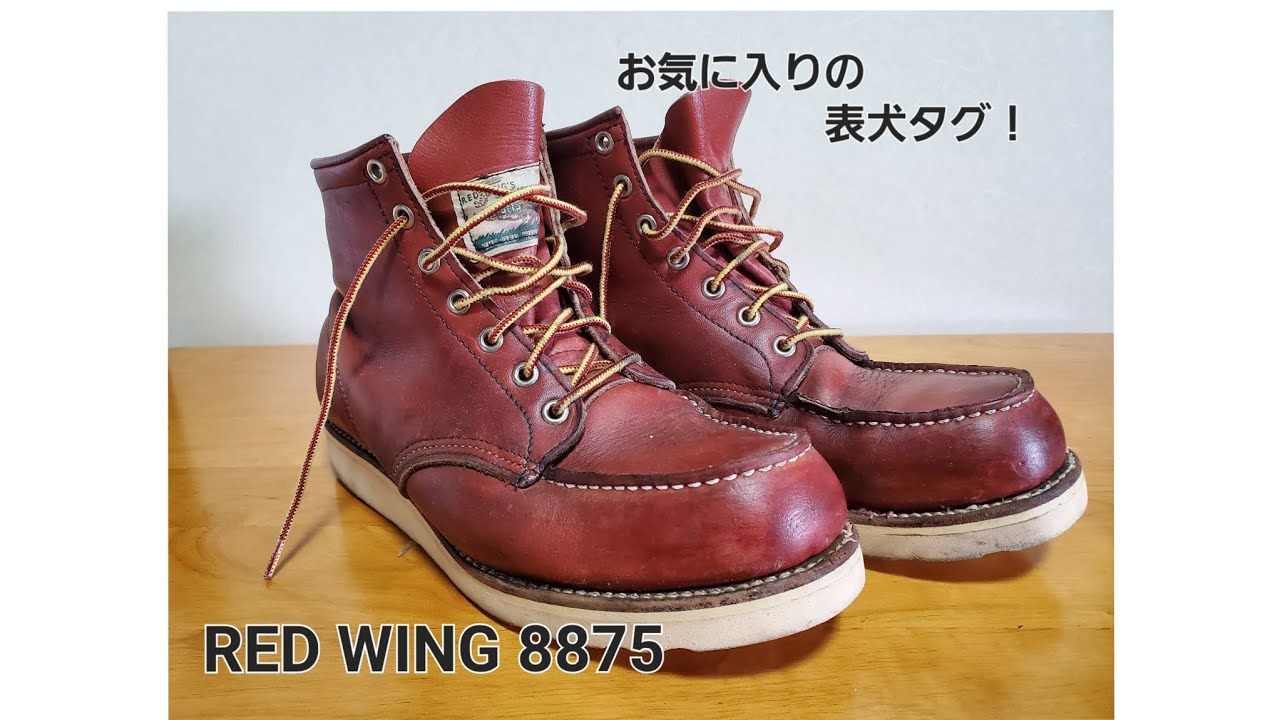 お気に入りのRED WING 8875 - YouTube