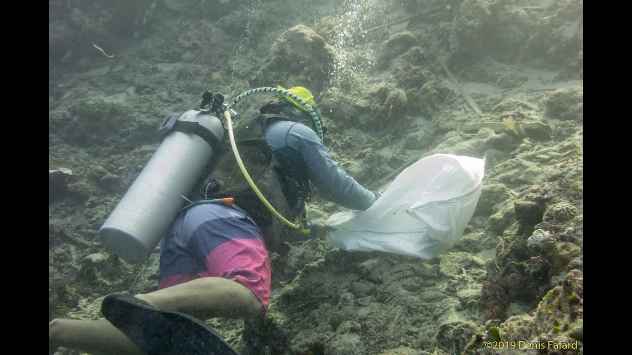 Two Fish Divers - Project Aware: Trash Dive - YouTube