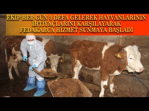 Aile Karantinaya Alındı, Hayvanlarına Vefa Ekibi Bakmaya Başladı