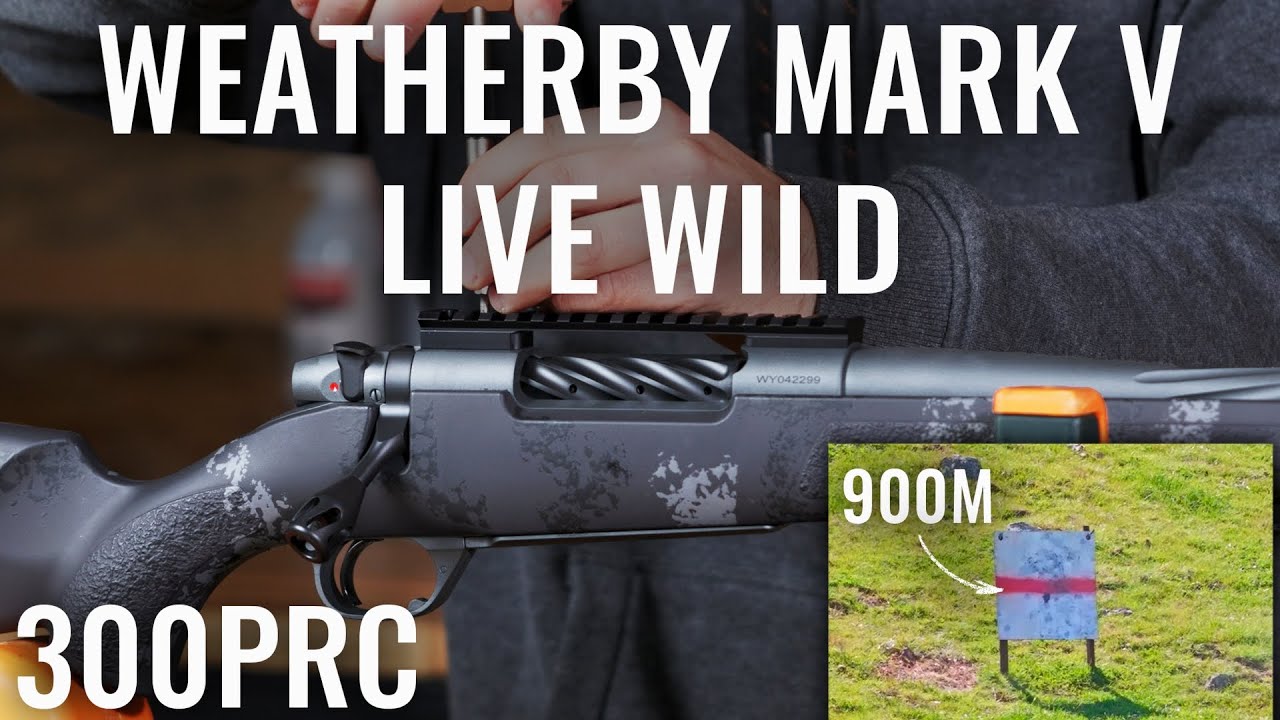 WEATHERBY MARK V LIVE WILD 4K - YouTube